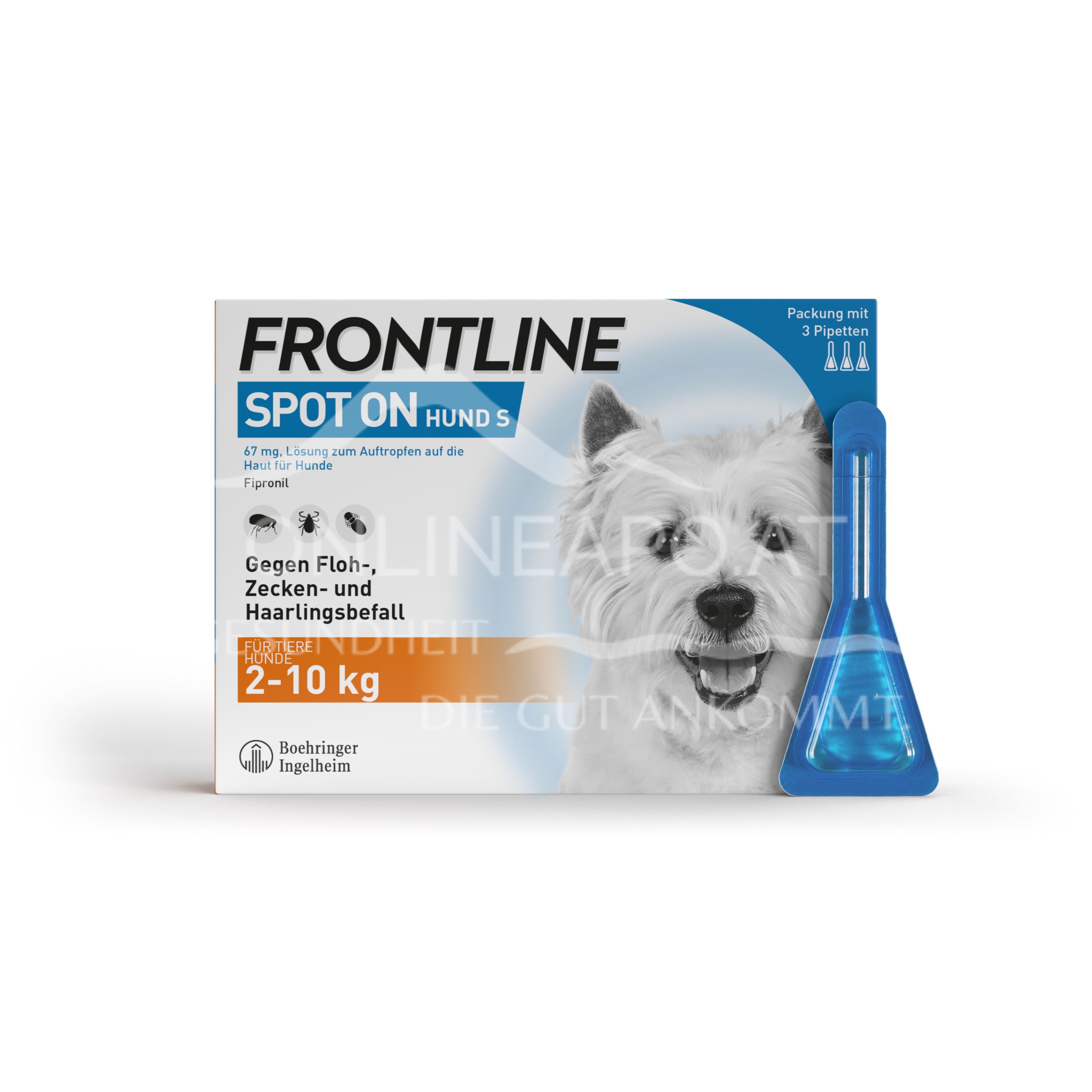 Frontline Spot on Kleine Hunde 67 mg Lösung zum Auftropfen auf die Haut ...