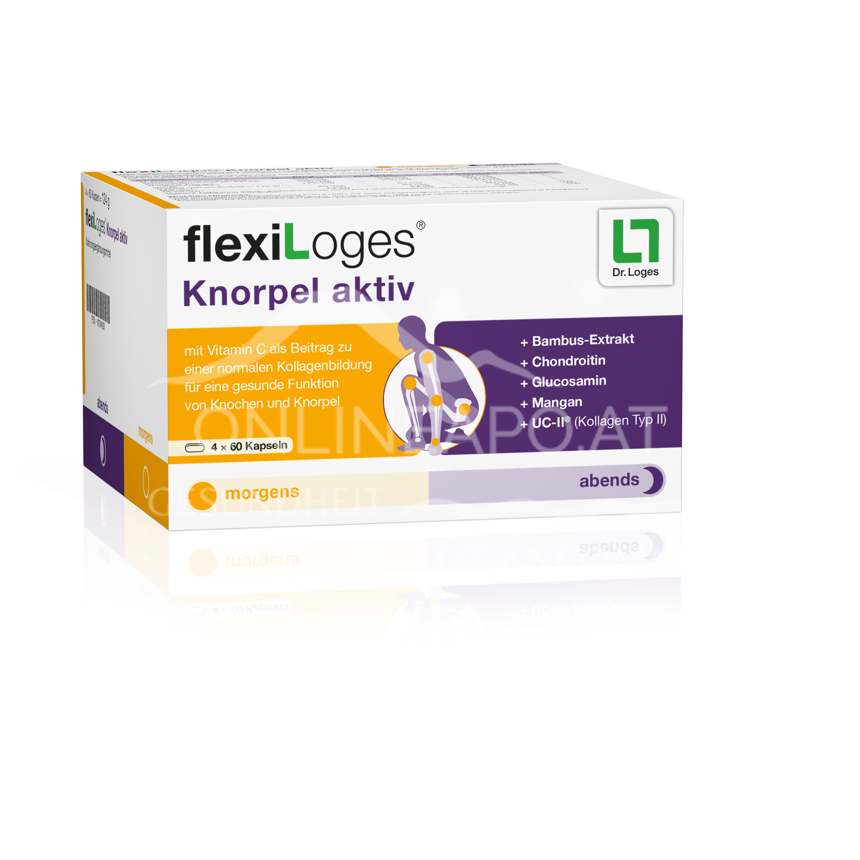 flexiLoges® Knorpel aktiv Kapseln 2 x 120 | schnell günstig geliefert