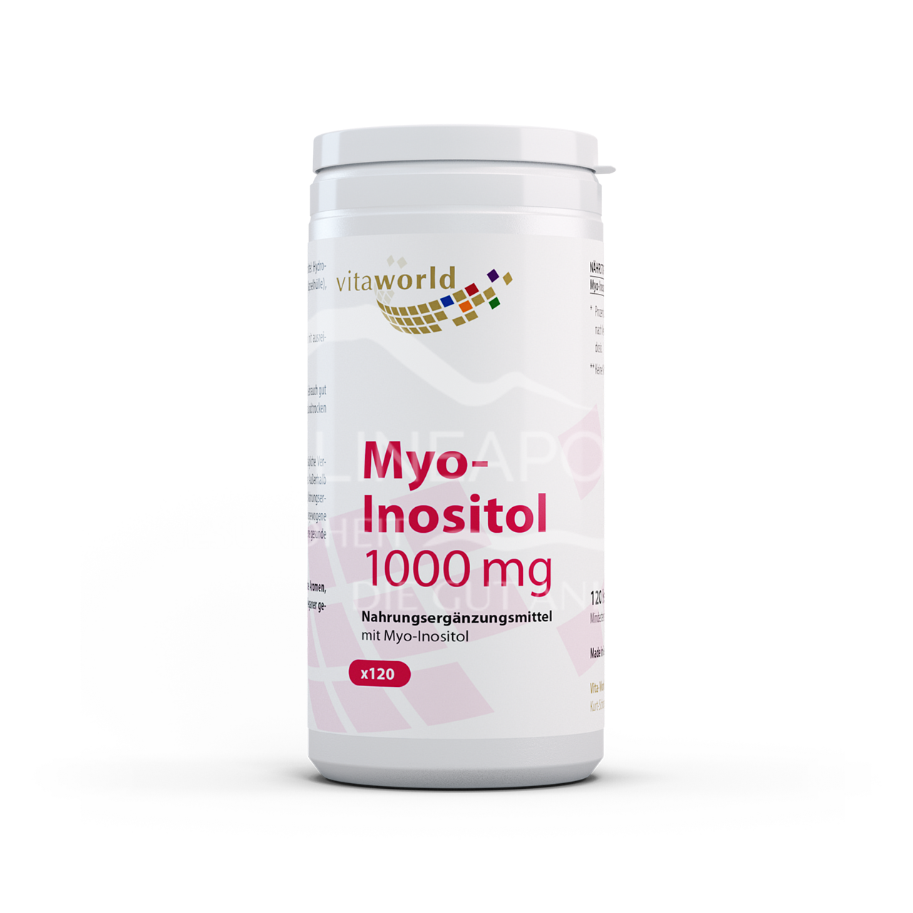 Vitaworld Myo-Inositol 1000 mg Kapseln | schnell günstig geliefert